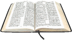 Index of /assets/images/general/